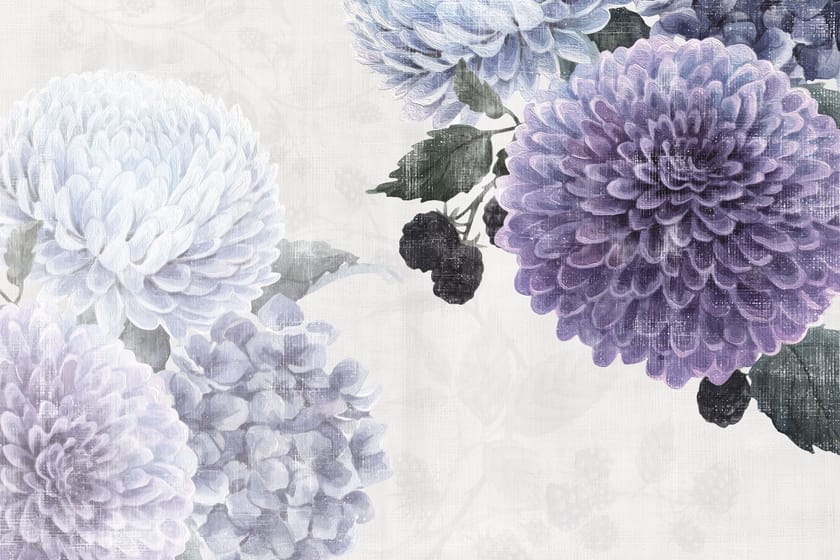 COLETTE Wallpaper By Instabilelab