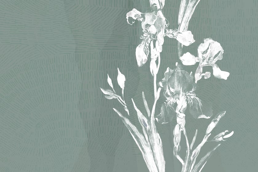 INES 壁纸 By Instabilelab