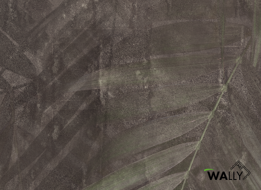 KENTIA Papel de parede By WALLYART