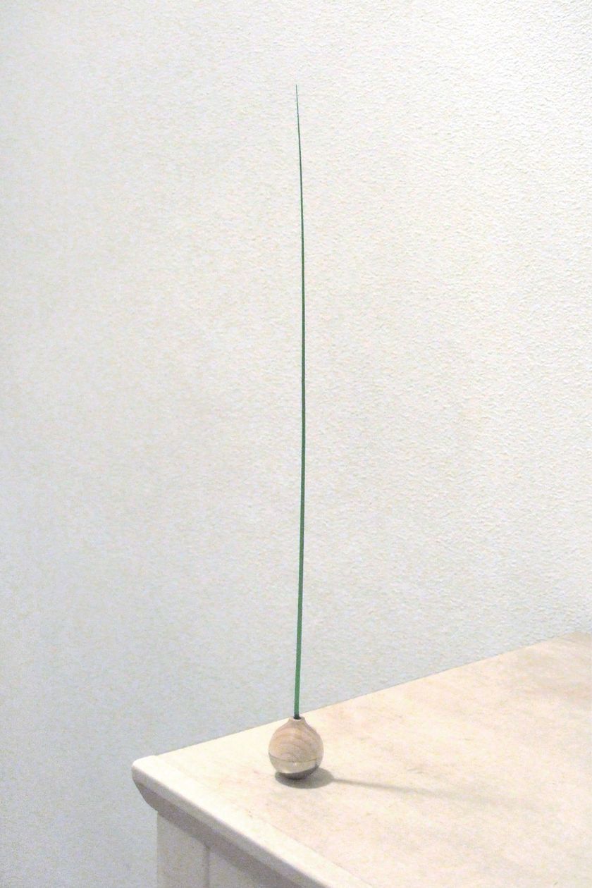Decorative object KUSA By Plus D design Hiromi Taki, Tomonori Ohata