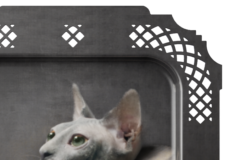 Vassoio / oggetto decorativo da parete in HPL LE CHAT Collezione ...