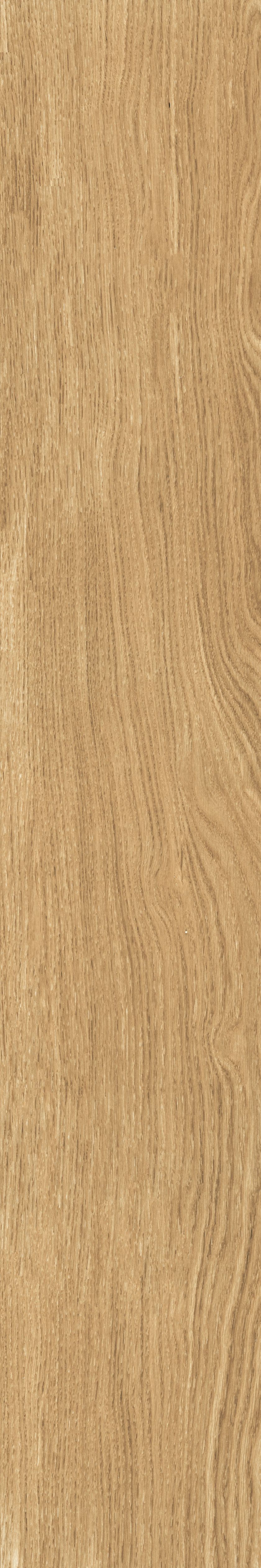 Pavimento/rivestimento in gres porcellanato effetto legno LINEO HONEY ...