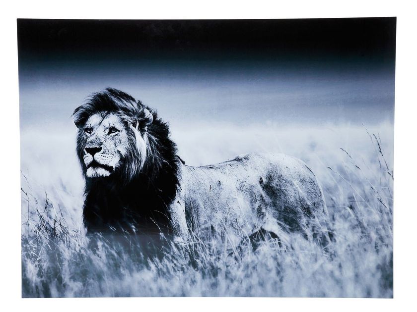 Photographic print LION KING STANDING By KARE-DESIGN