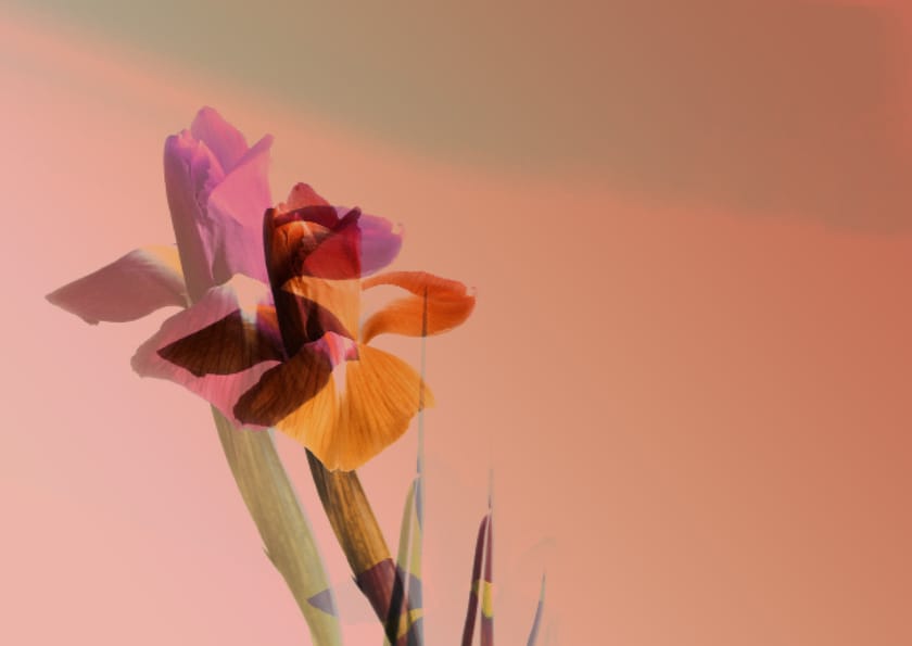 Washable wallpaper with floral pattern LUCID BOTANY DARK FIGURE NATURE ...