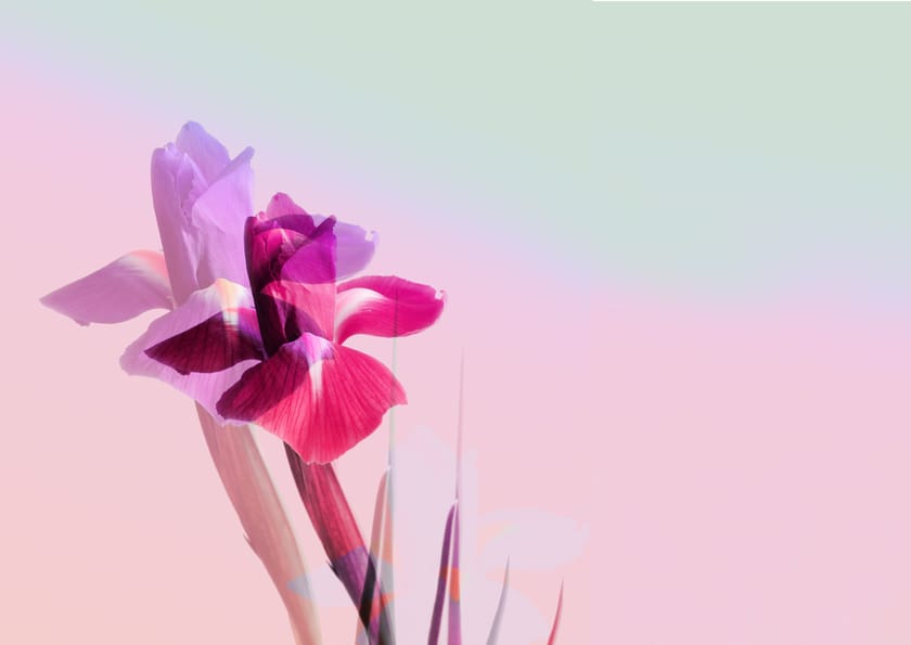 Washable wallpaper with floral pattern LUCID BOTANY FIGURE NATURE ...