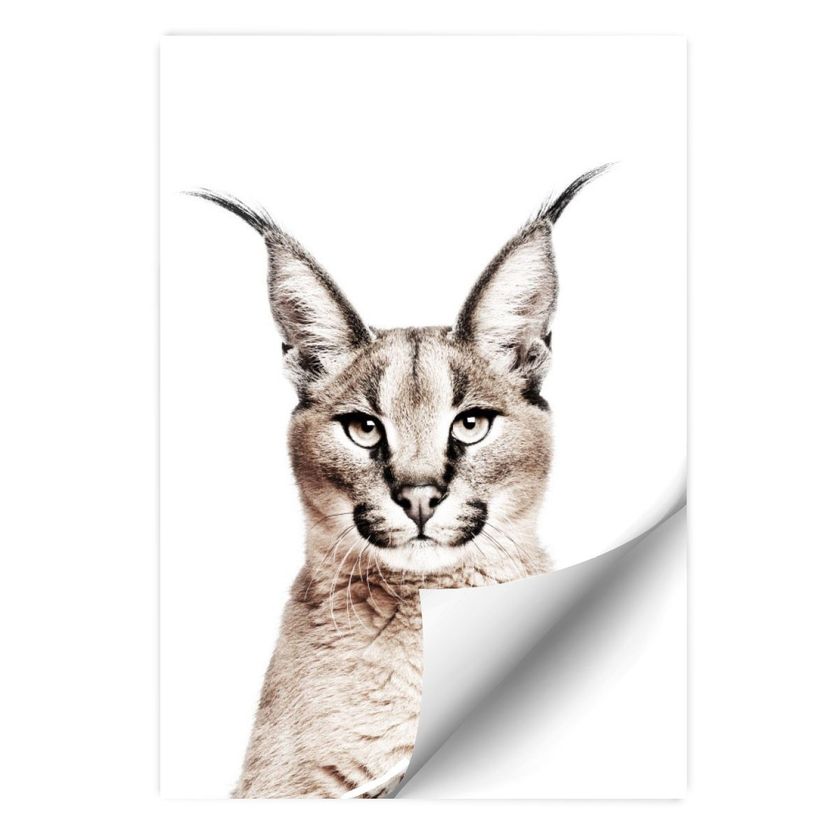 Vinyl wall sticker LYNX By Groovy Magnets