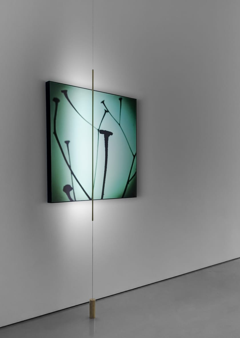 LED metal floor lamp MASAI By DAVIDE GROPPI