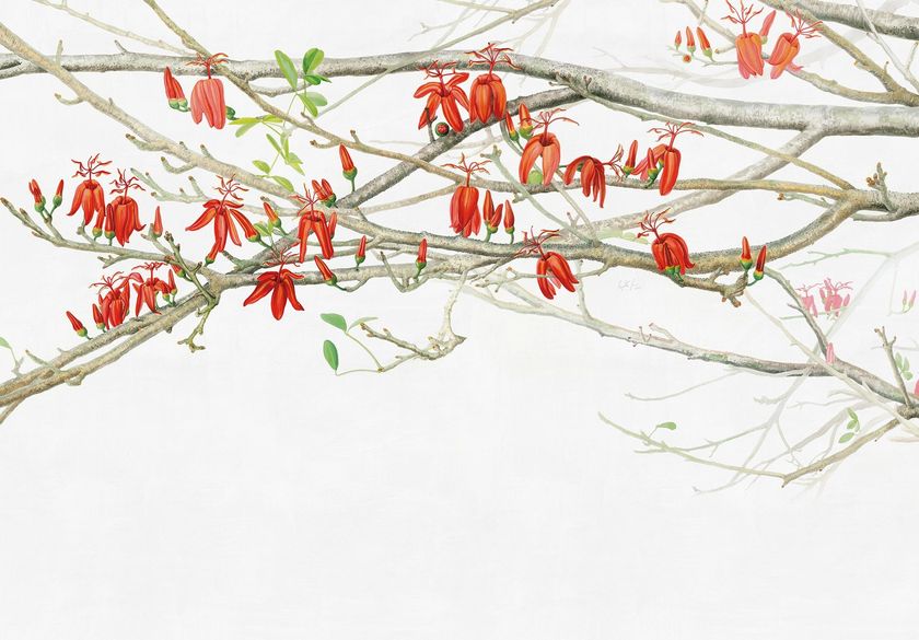 Nonwoven wallpaper with floral pattern MATA PAU Art Collections ...