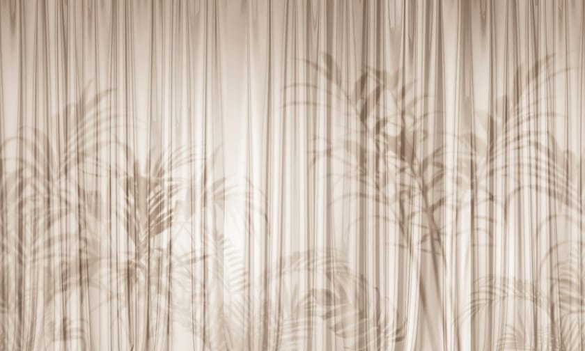 SHADOW Wallpaper By MILLE997