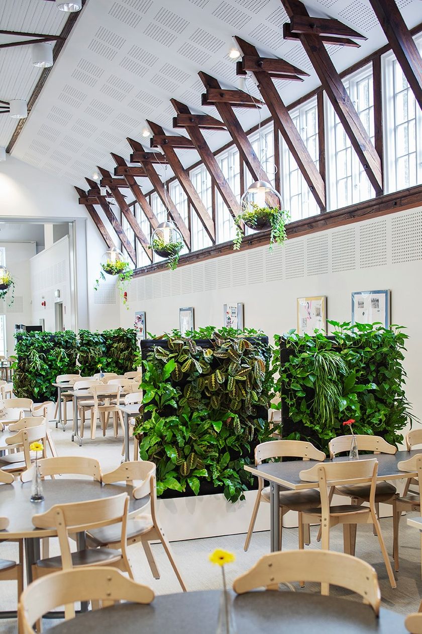 MOVING HEDGE Room divider By Greenworks