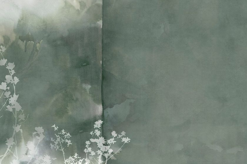 NAPEE Wallpaper By GLAMORA