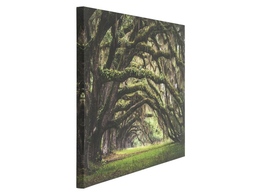 Photographic print NATURE TREES By KARE-DESIGN