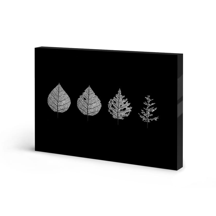 NCD-LMR12 Photographic print By NC Design Group