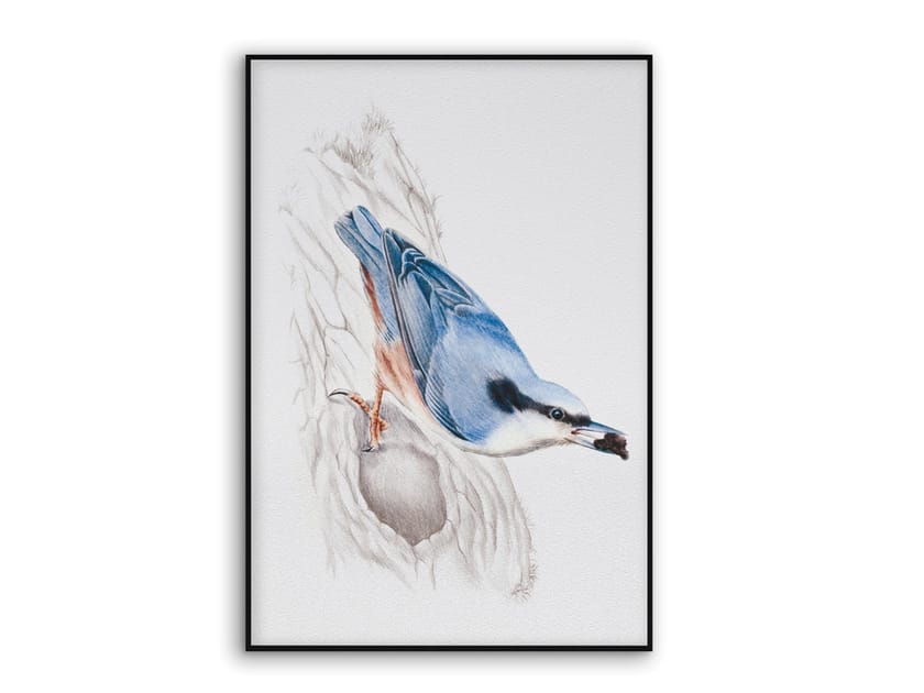 NCD-SLU15 Photographic print By NC Design Group