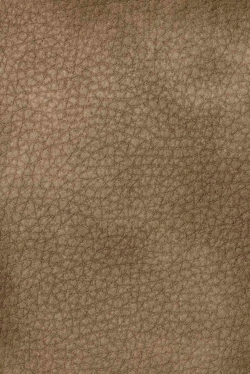 VENUS FL Mirror By NEOD