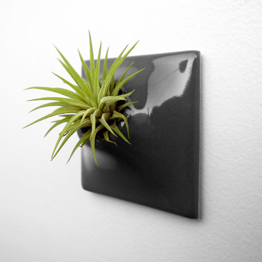 Modular ceramic wall planter NODE XS By Pandemic Design Studio design ...