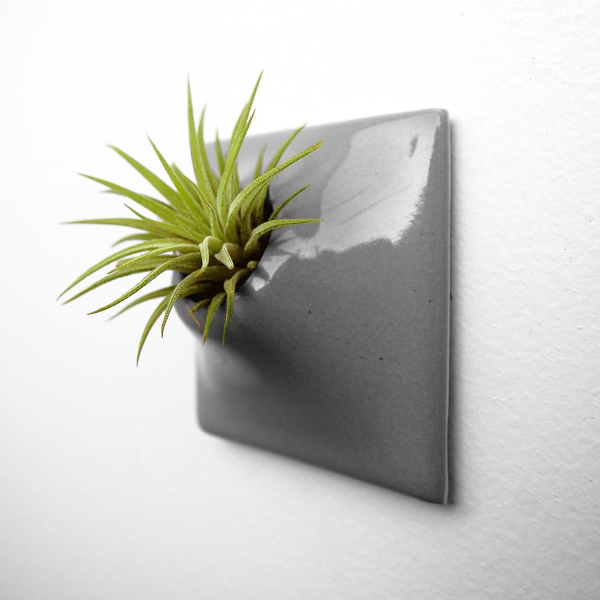 Modular ceramic wall planter NODE XS By Pandemic Design Studio design ...