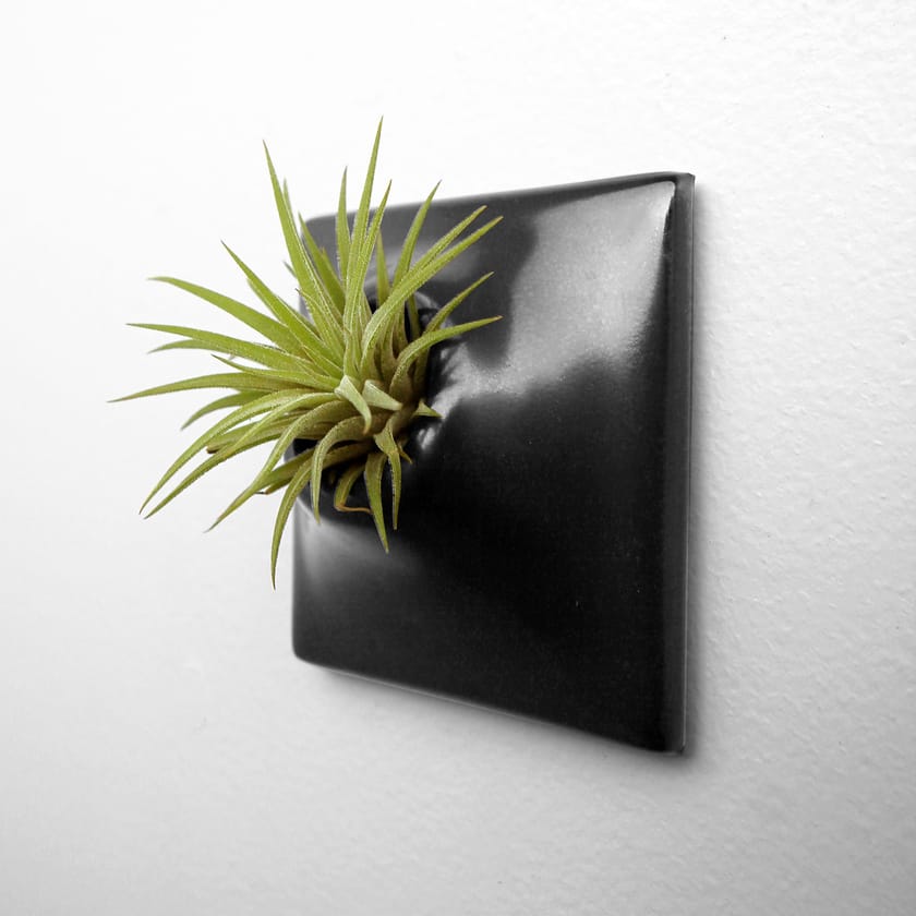 Modular ceramic wall planter NODE XS By Pandemic Design Studio design ...