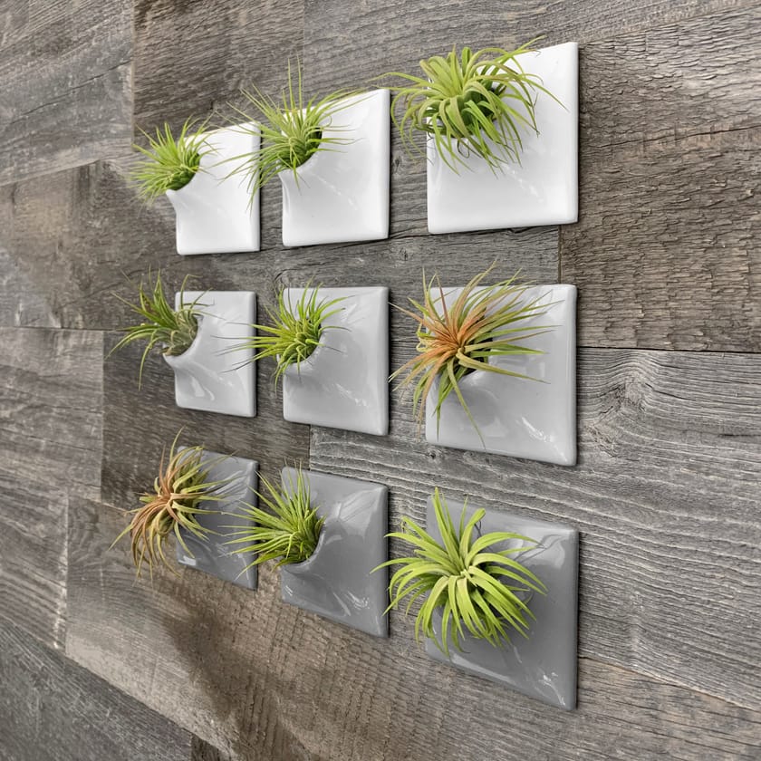 Modular ceramic wall planter NODE XS By Pandemic Design Studio design ...