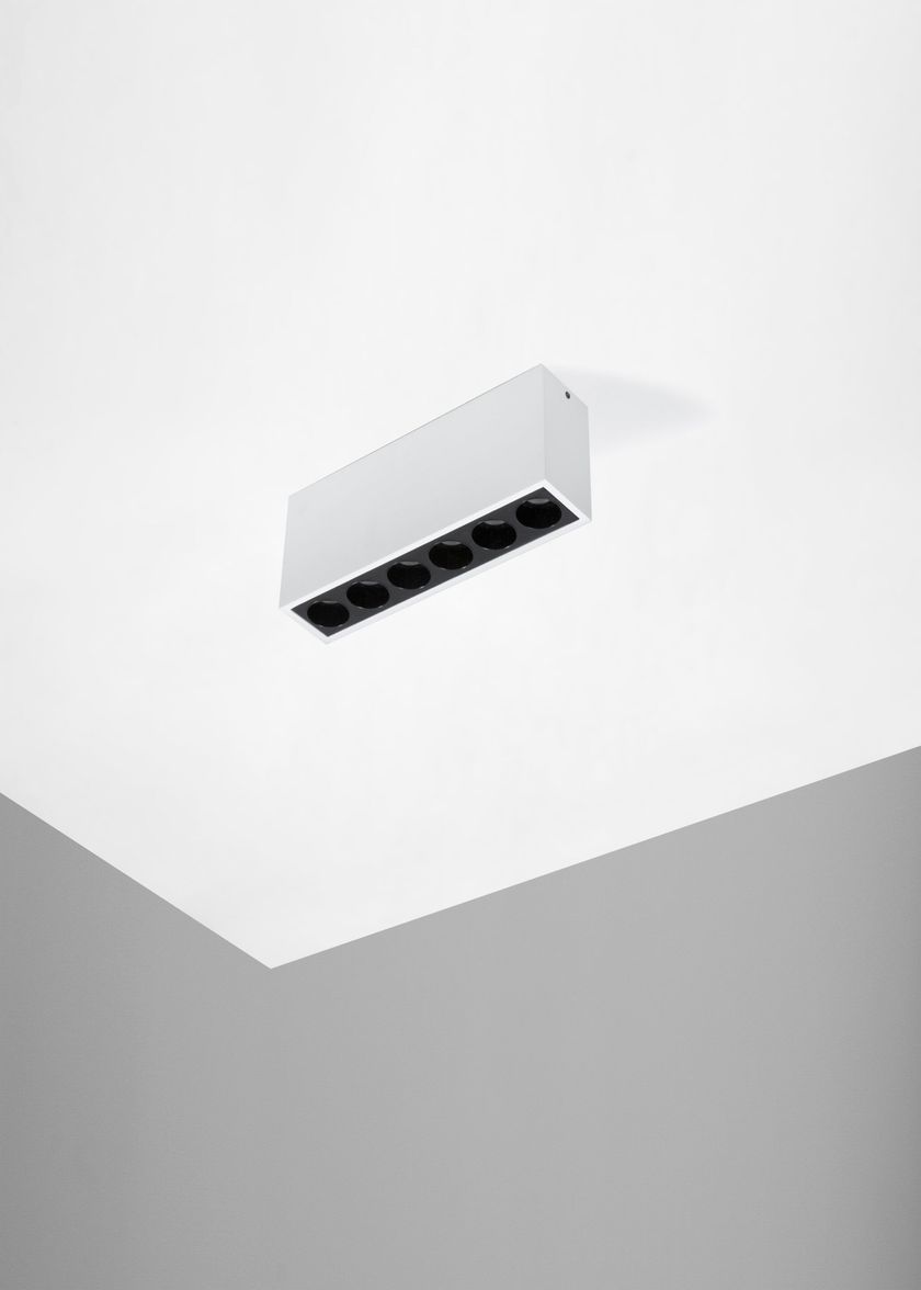 VLOK DOWN Spotlight By Nexia