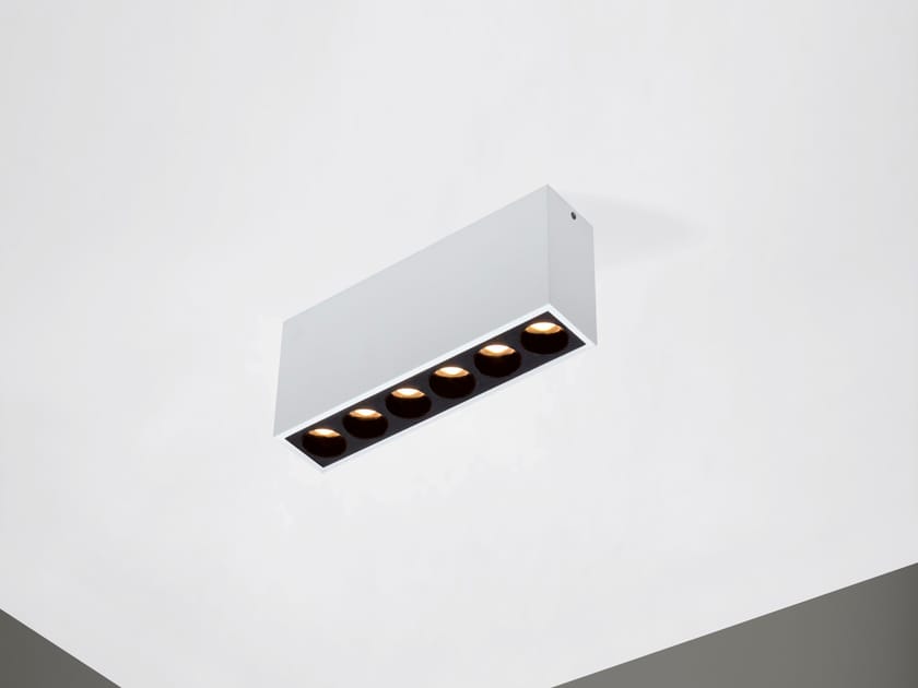 VLOK DOWN Spotlight By Nexia