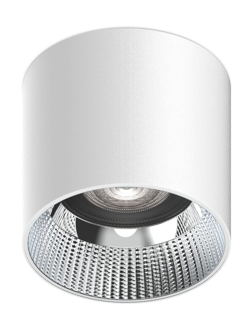 TIN Spotlight By Novalux