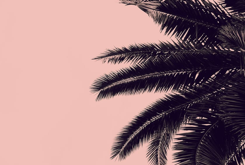 PALM TREE Wallpaper By Architects Paper