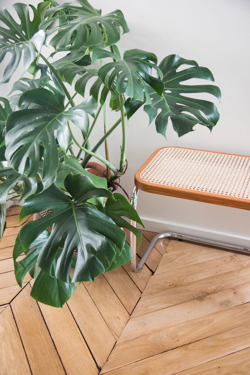 Wicker bench PANCHINA By The Socialite Family