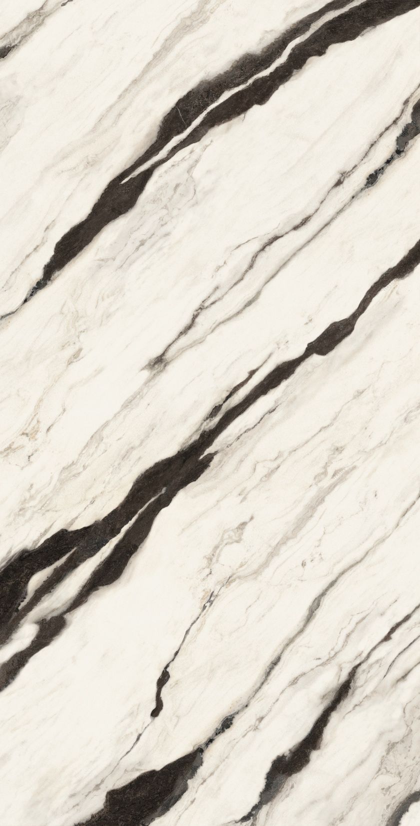 MAXIMVS PANDA WHITE Wall tiles By Versace Ceramics