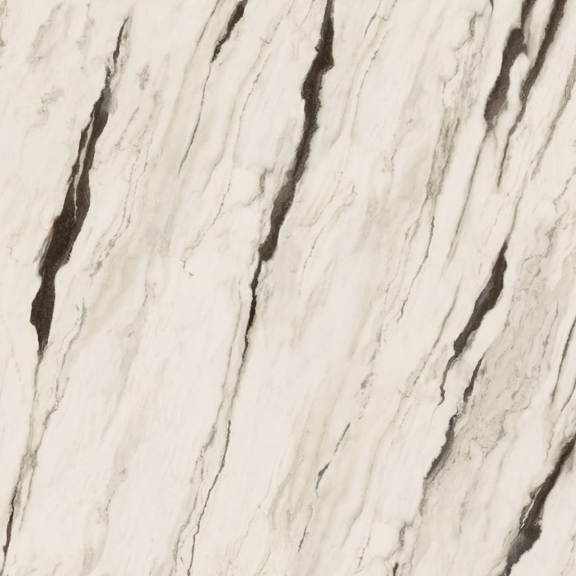 MAXIMVS PANDA WHITE Wall tiles By Versace Ceramics