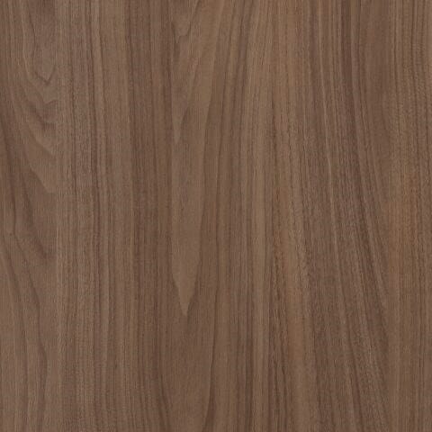 PORO NOCE Texture By Cleaf