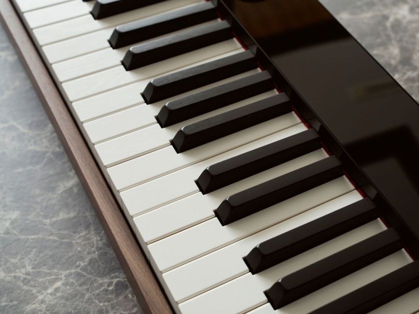 PX-S6000 musical instrument By CASIO MUSIC
