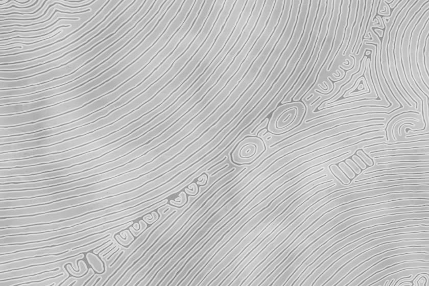 RADICI Wallpaper By GLAMORA