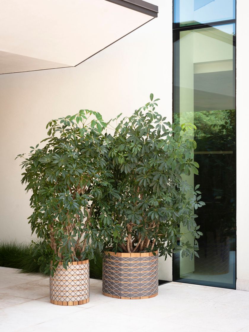 BARRIQUE Plant pot By RODA