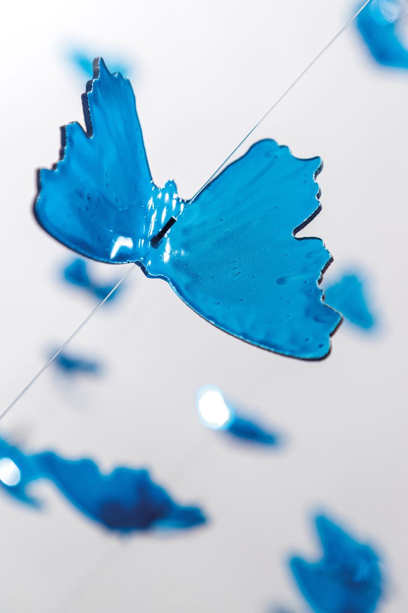 DREAMCATCHER MORPHO Pendant lamp By Reflex