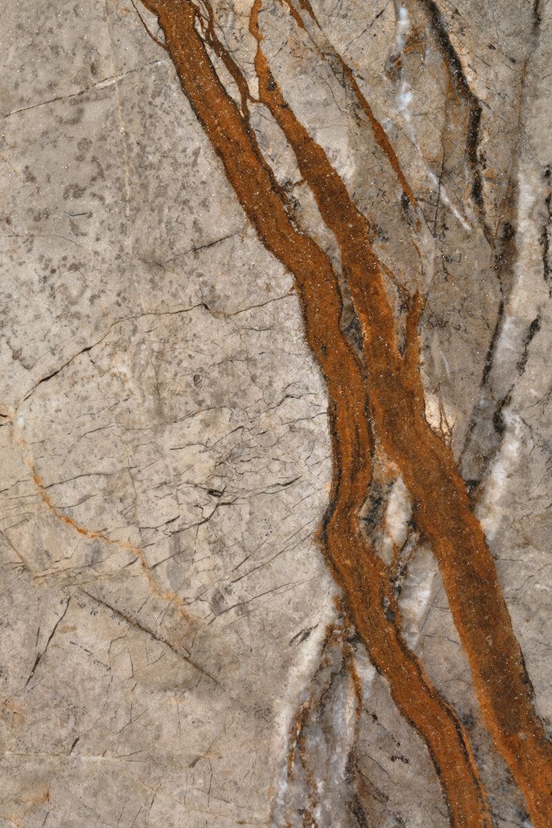 SILVER ROOTS Porcelain stoneware wall/floor tiles with marble effect By ...