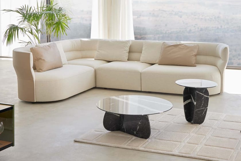 SENA 沙发 By Punt | design Christophe Pillet