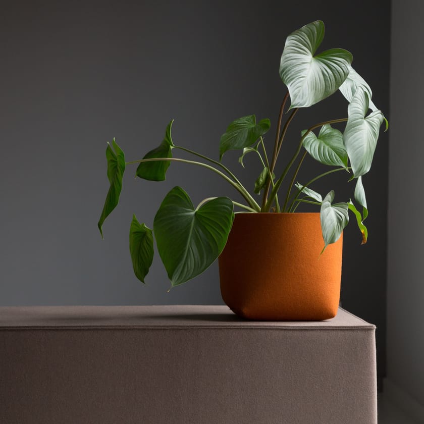 Wool felt storage box SILO By HEY-SIGN