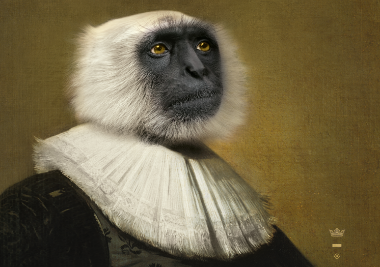 LE SINGE Galerie de Portraits Collection By IBRIDE design Rachel Convers