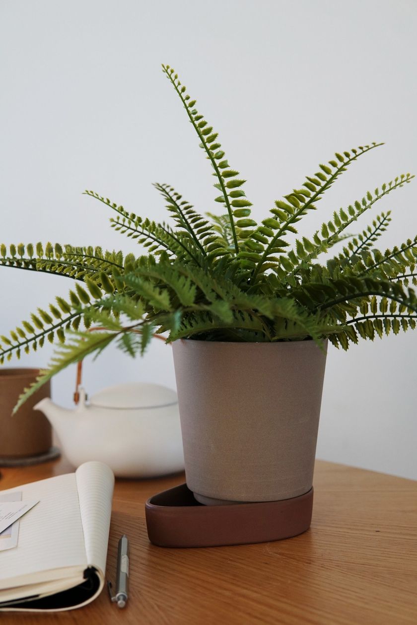 SIP Vase By Case | design Ann Kristin Einarsen