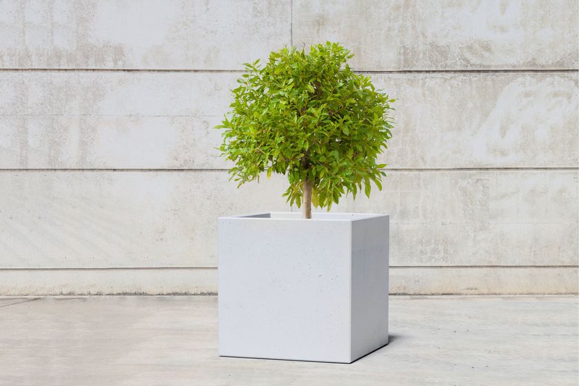 CUBIC Flower pot By SIT