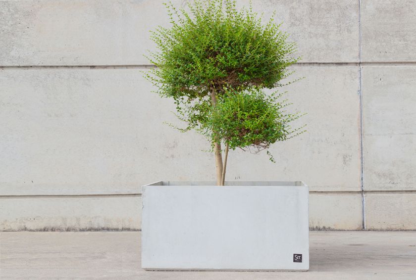 CUBIC Flower pot By SIT