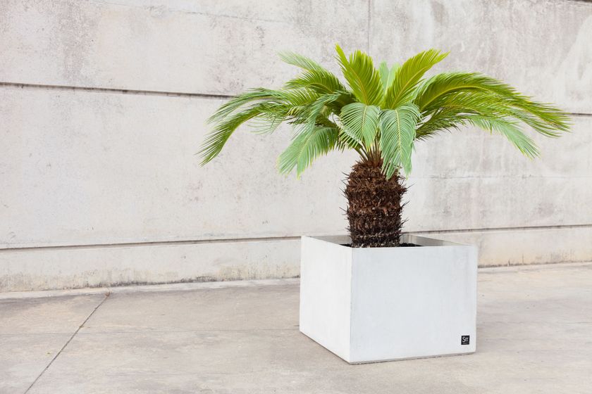 CUBIC Flower pot By SIT