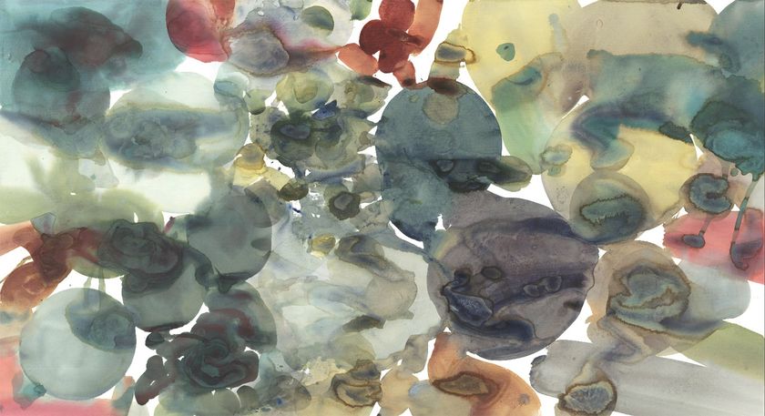 SPLASH PAINTS Papel pintado By Dovely