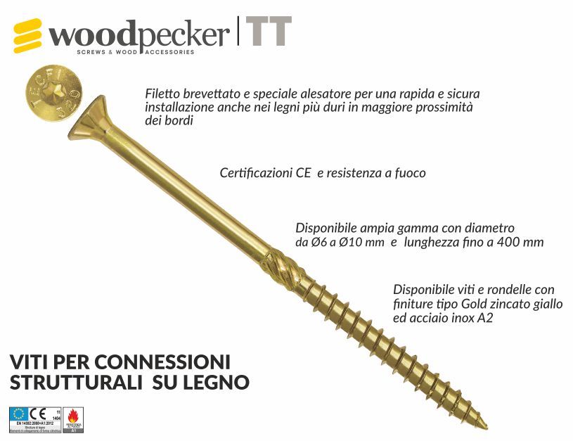 TT Galvanized steel Screw By TECFI