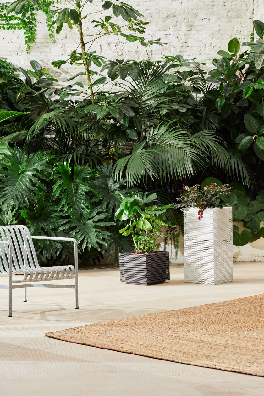 TOP | Low plant pot Low stainless steel plant pot with automatic ...