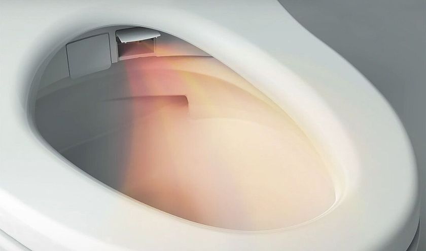 WASHLET® SW AUTO FLUSH Wc By TOTO