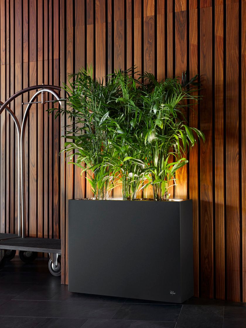 URBAN LIGHT Plant pot By Hobby Flower