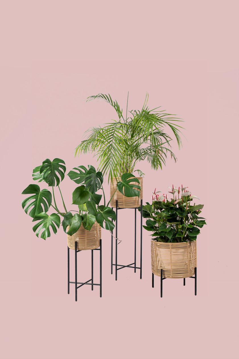 VIVI | Vase By Vincent Sheppard