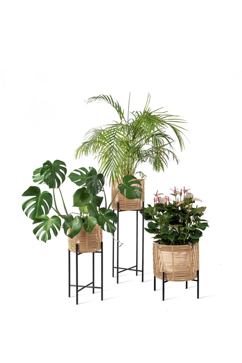 VIVI Round rattan vase By Vincent Sheppard